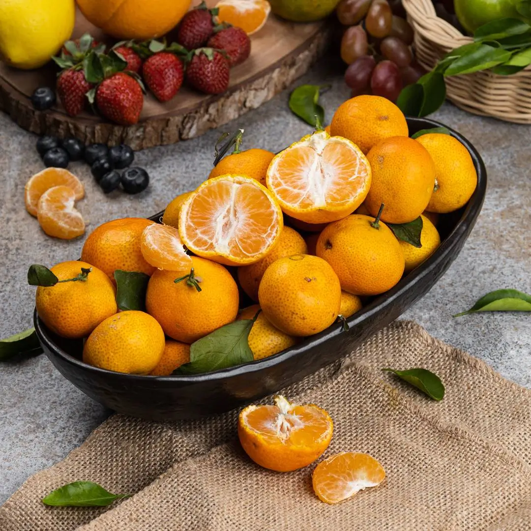 Segari : Situs Belanja Online Bahan Segar Berkualitas