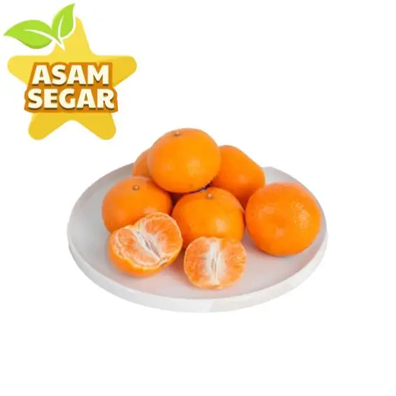 Temukan Strawberry Lokal di Segari