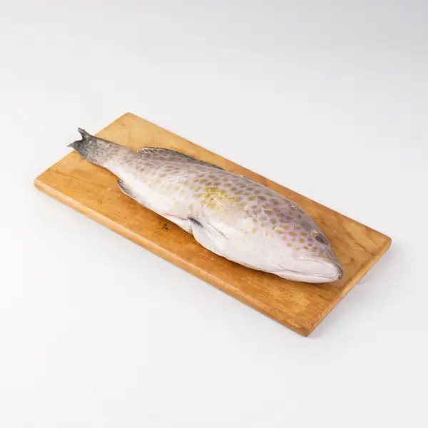 Resep Ikan Steam Hongkong Mudah dan Praktis